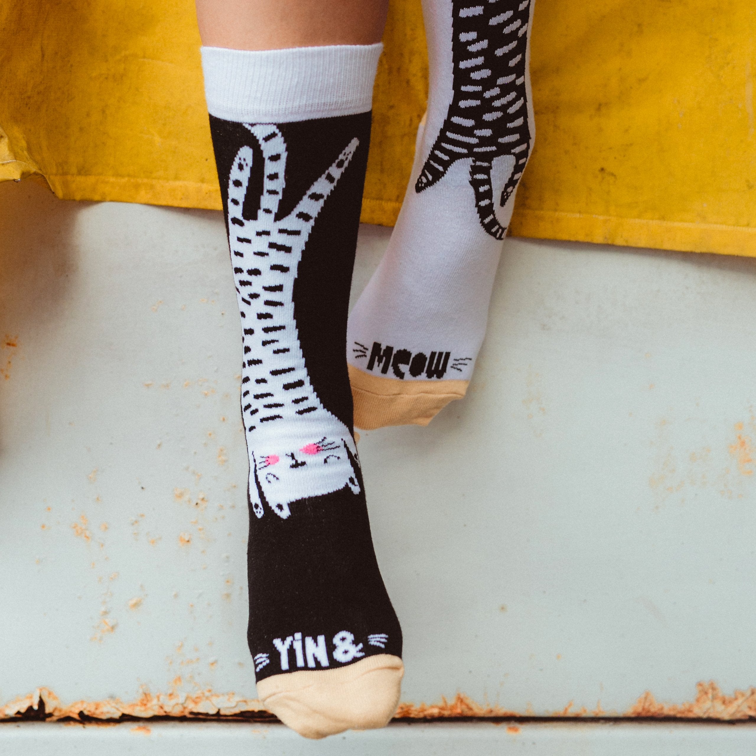 Yin and Meow – Shop KYNC